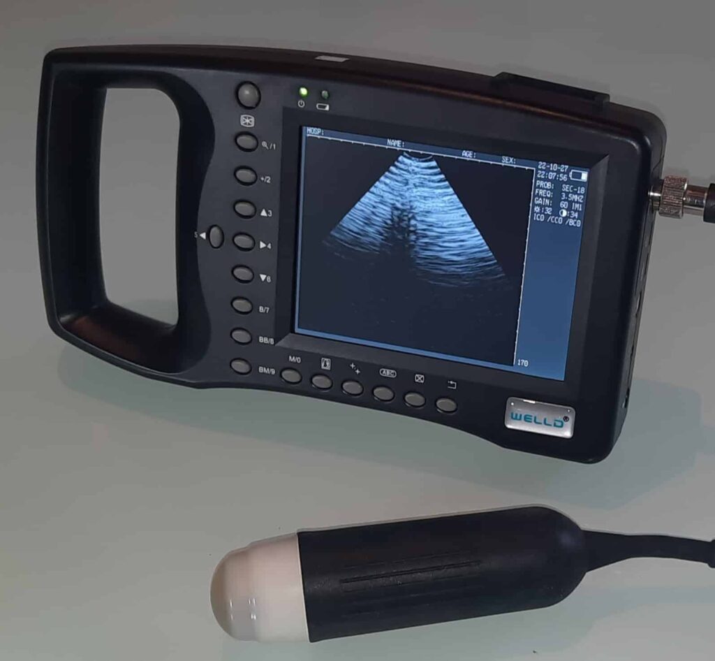 Echographe WED2000A pour vaches et autres animaux ultra-économique ...